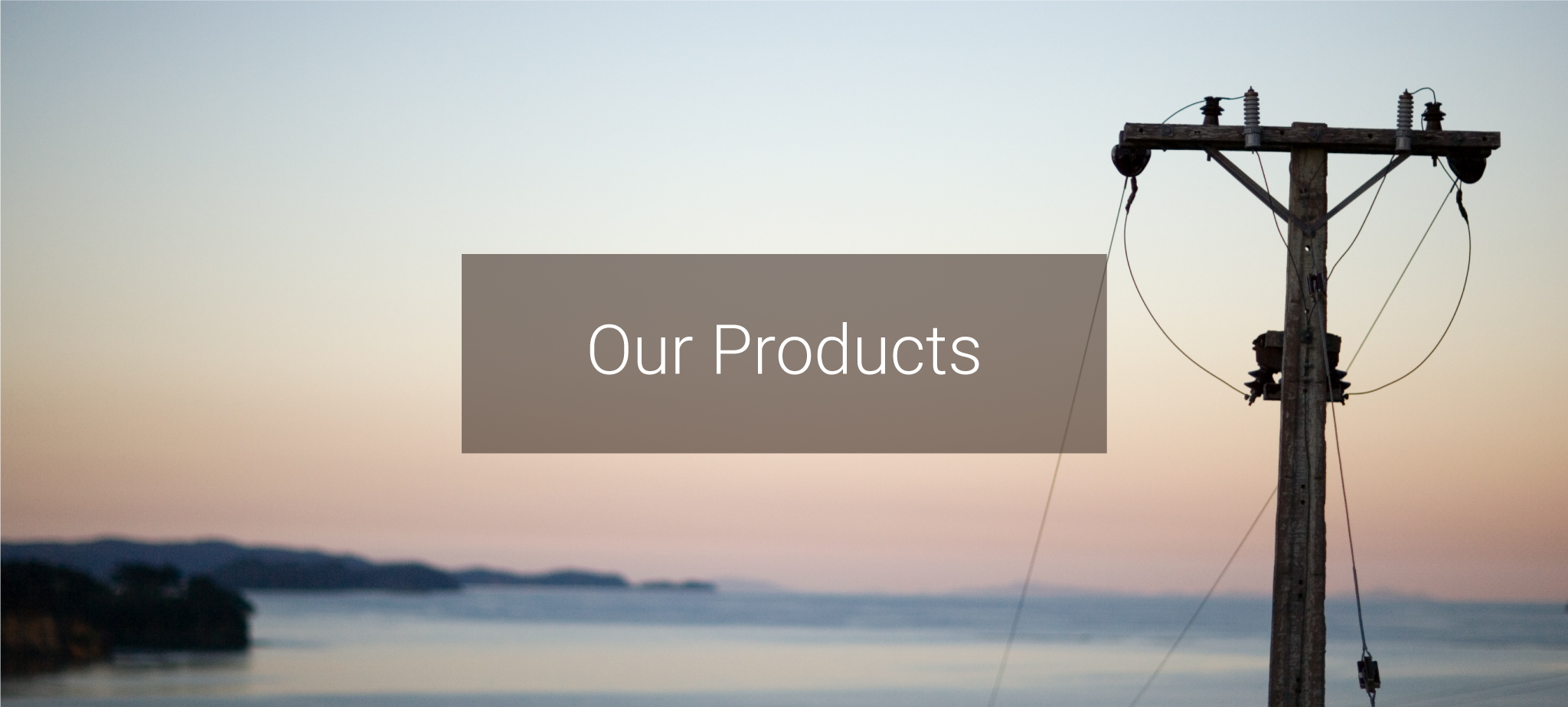 Products – Gridworks